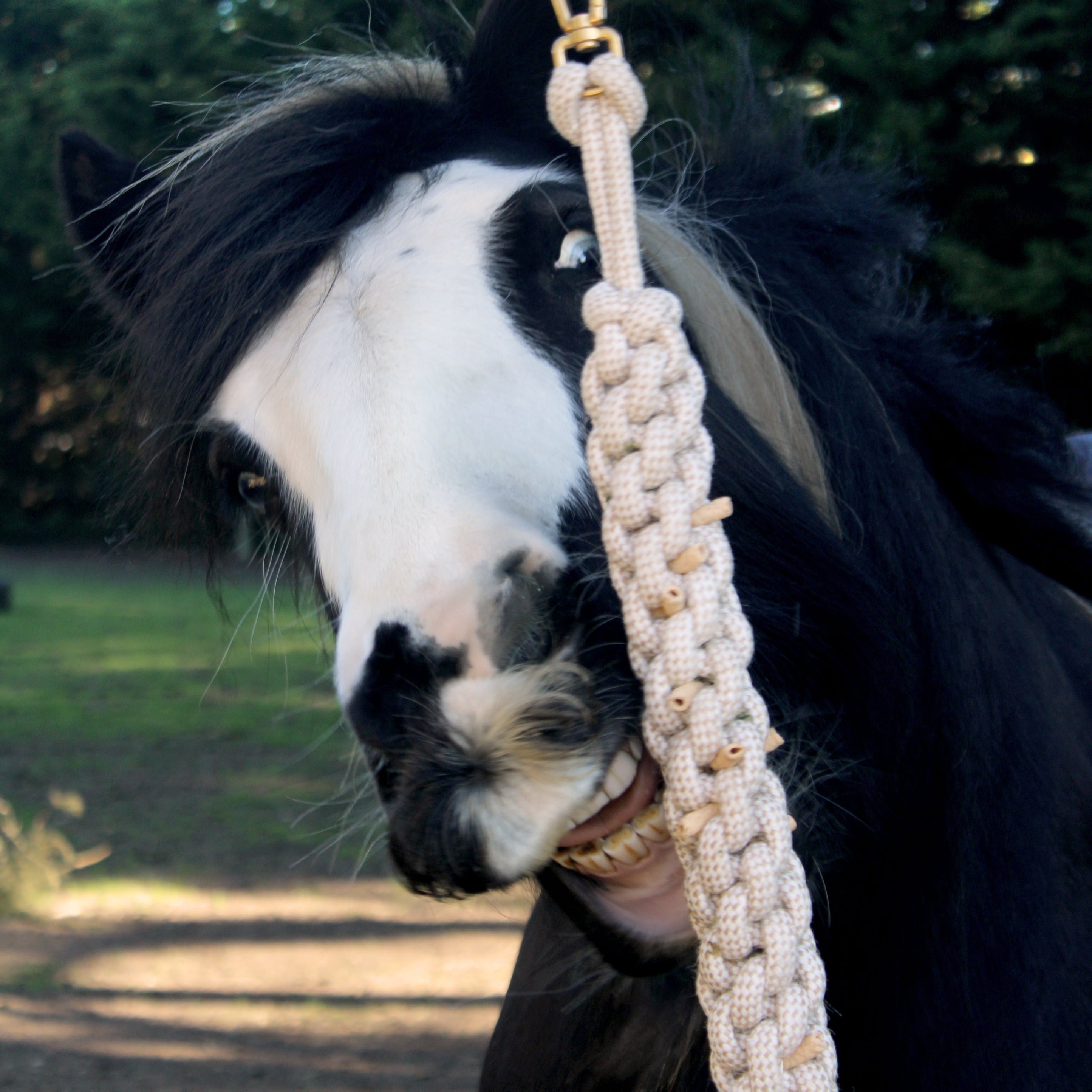 Nibble Rope – Paxx Equestrian