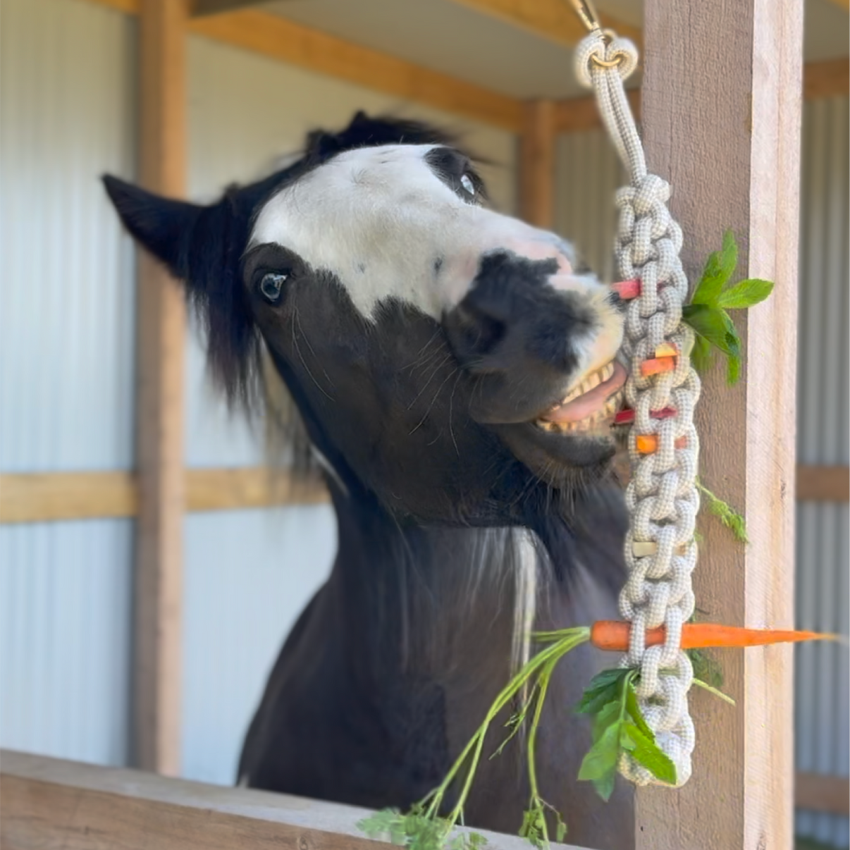 Nibble Rope – Paxx Equestrian